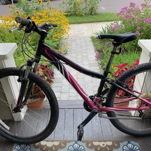 2012 Specialized Myka