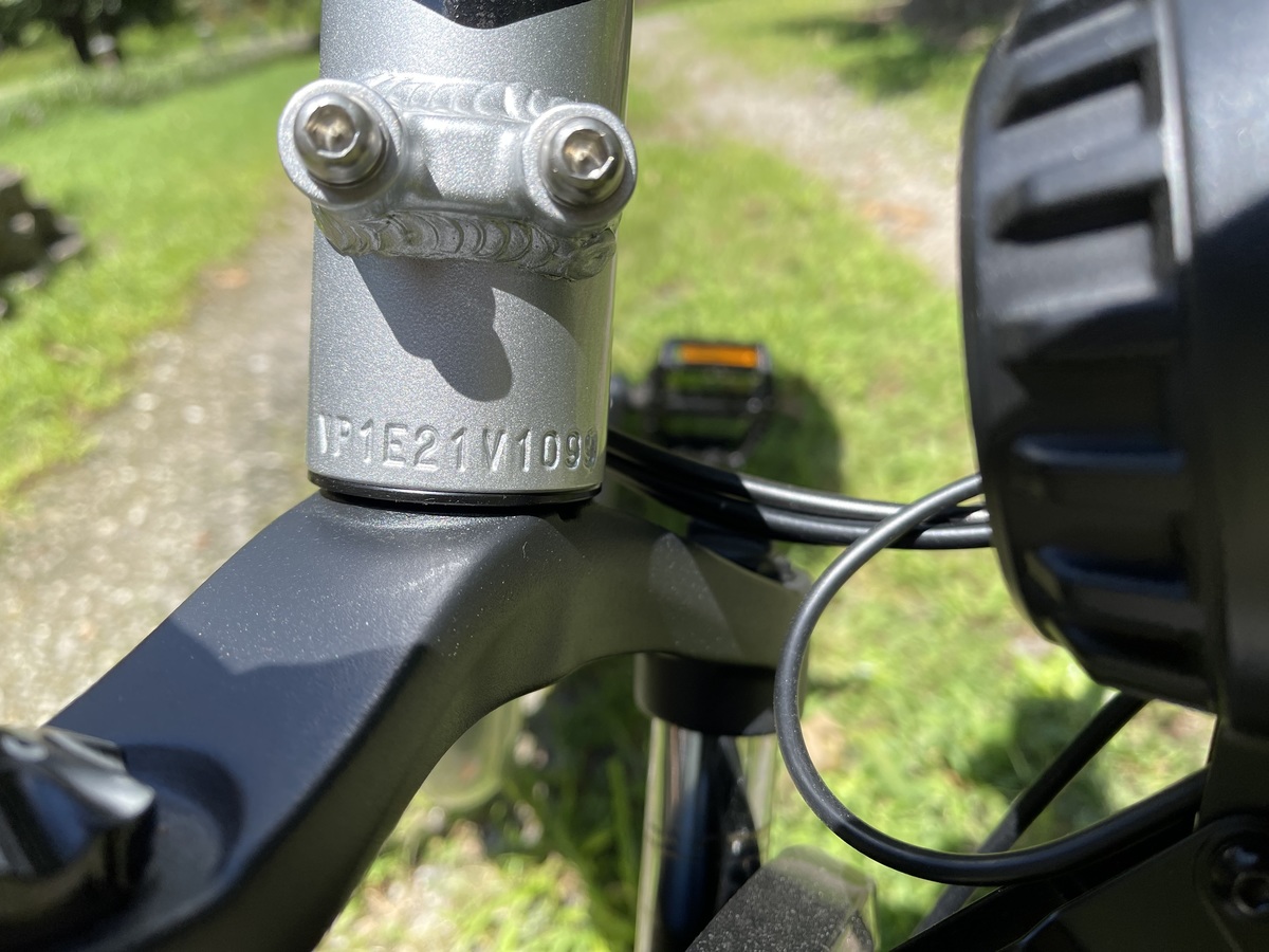 2021 Rad Power Bikes Radrunner Plus