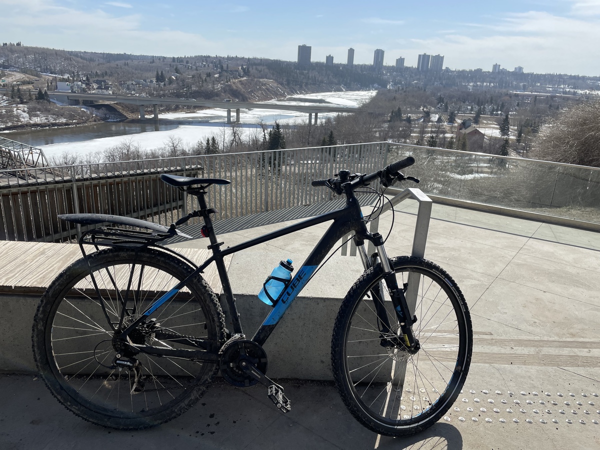 Stolen 2019 Cube Aim Pro 29"