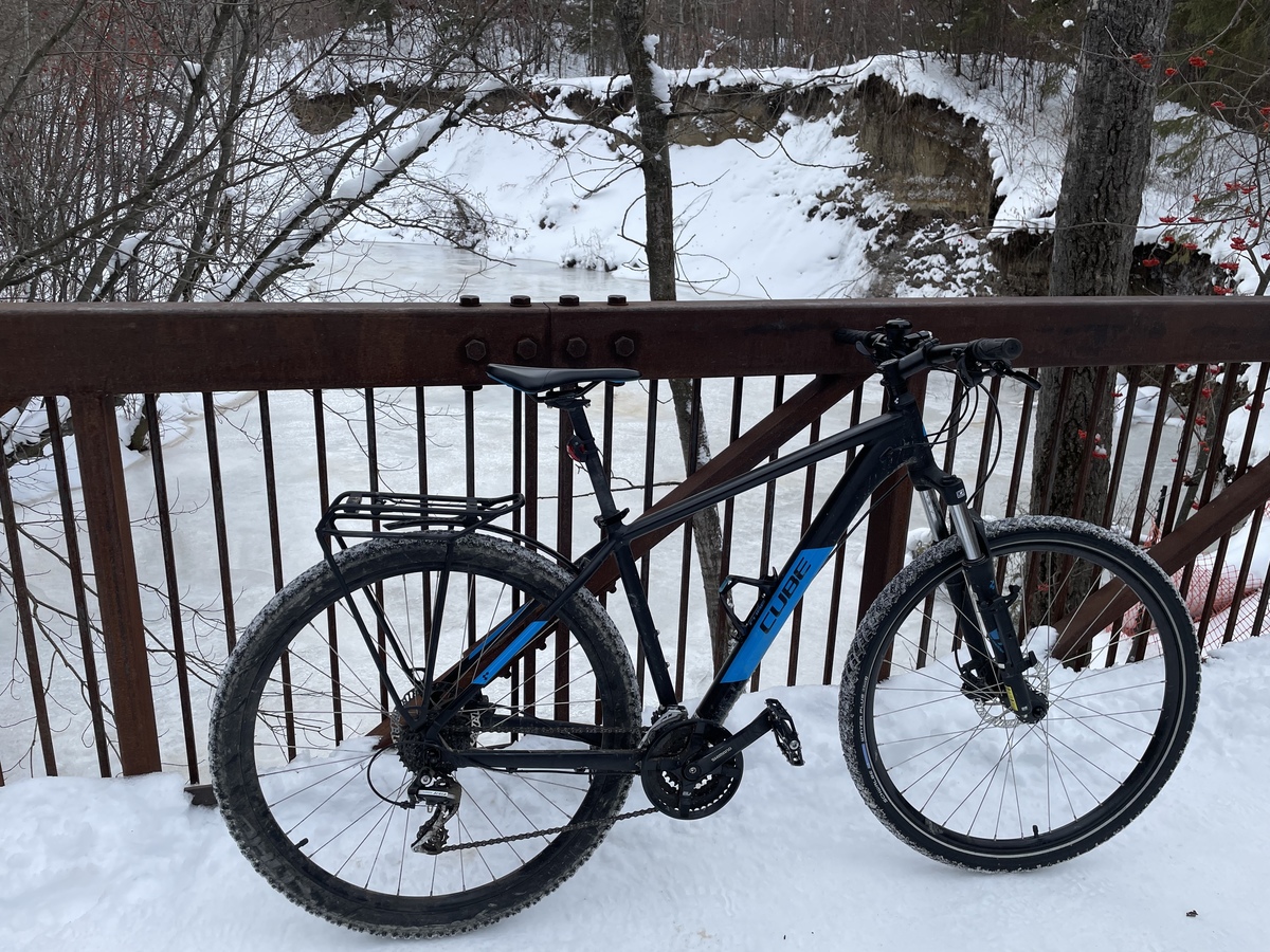 Stolen 2019 Cube Aim Pro 29"