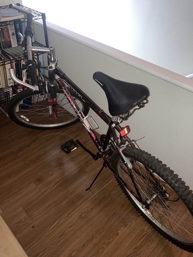 Pacific Cycle 4000 DH
