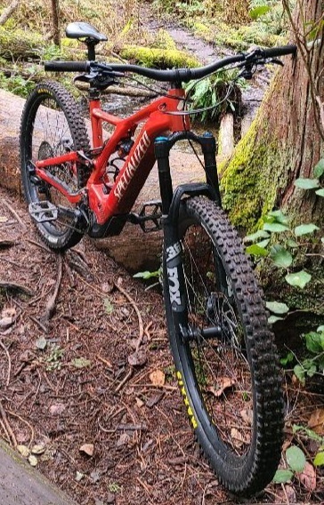 Stolen 2021 Specialized Turbo Levo