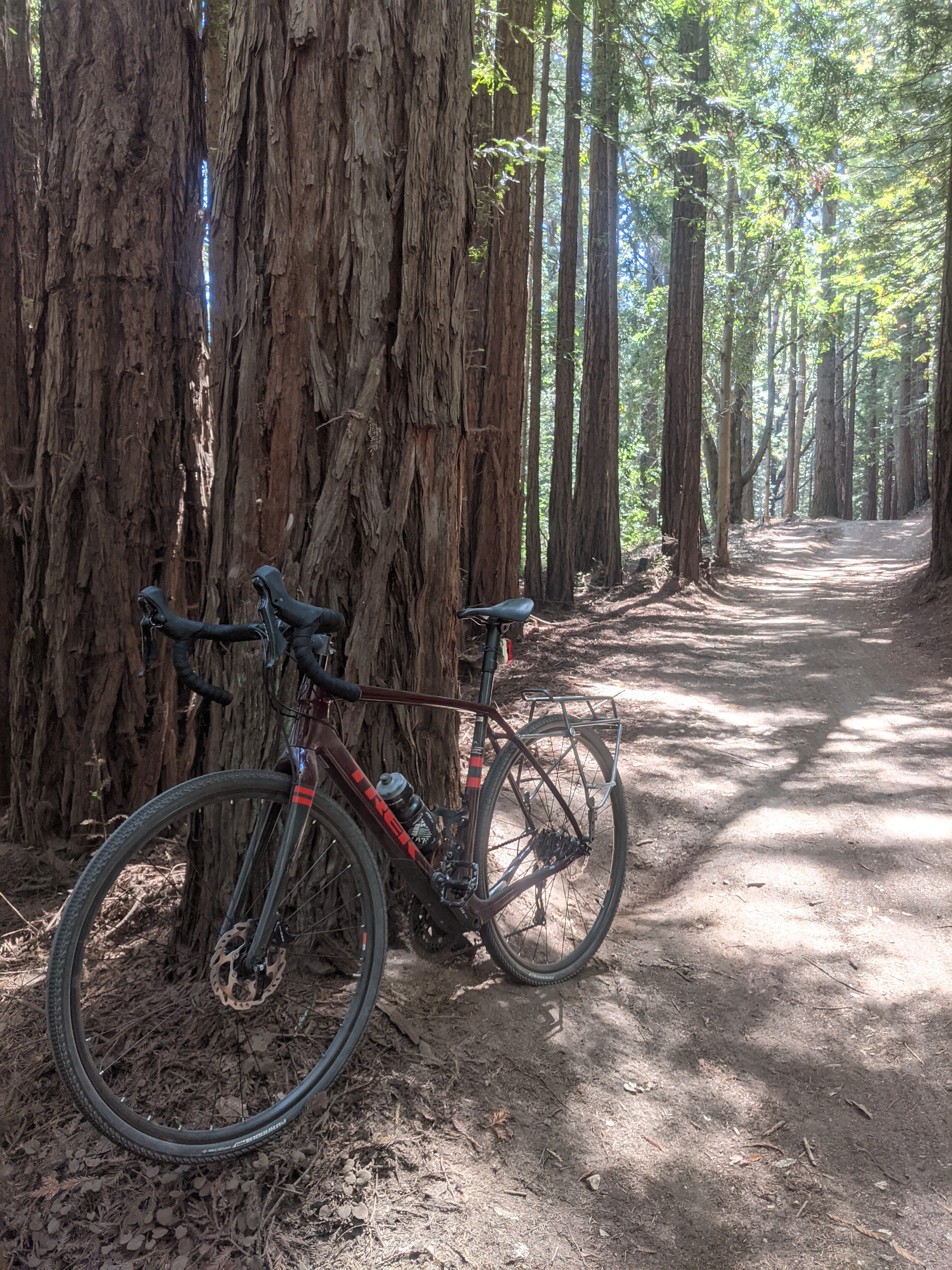 2020 Trek Checkpoint SL5