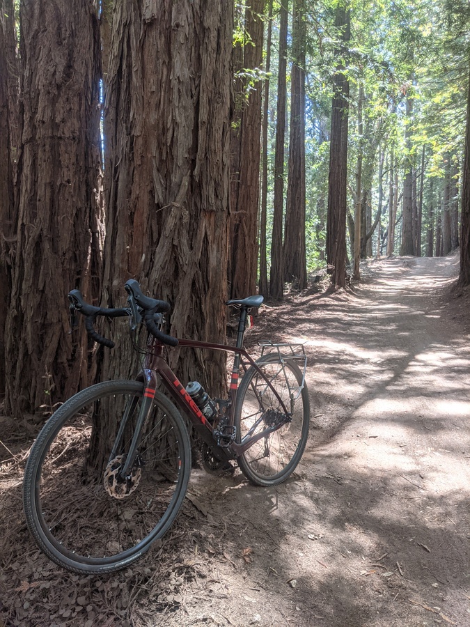 2020 Trek Checkpoint SL5