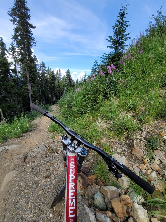 2020 Commencal Bikes Supreme