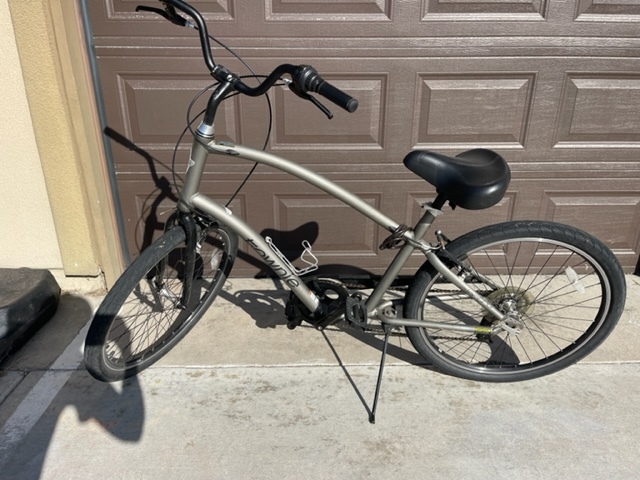 Electra Townie