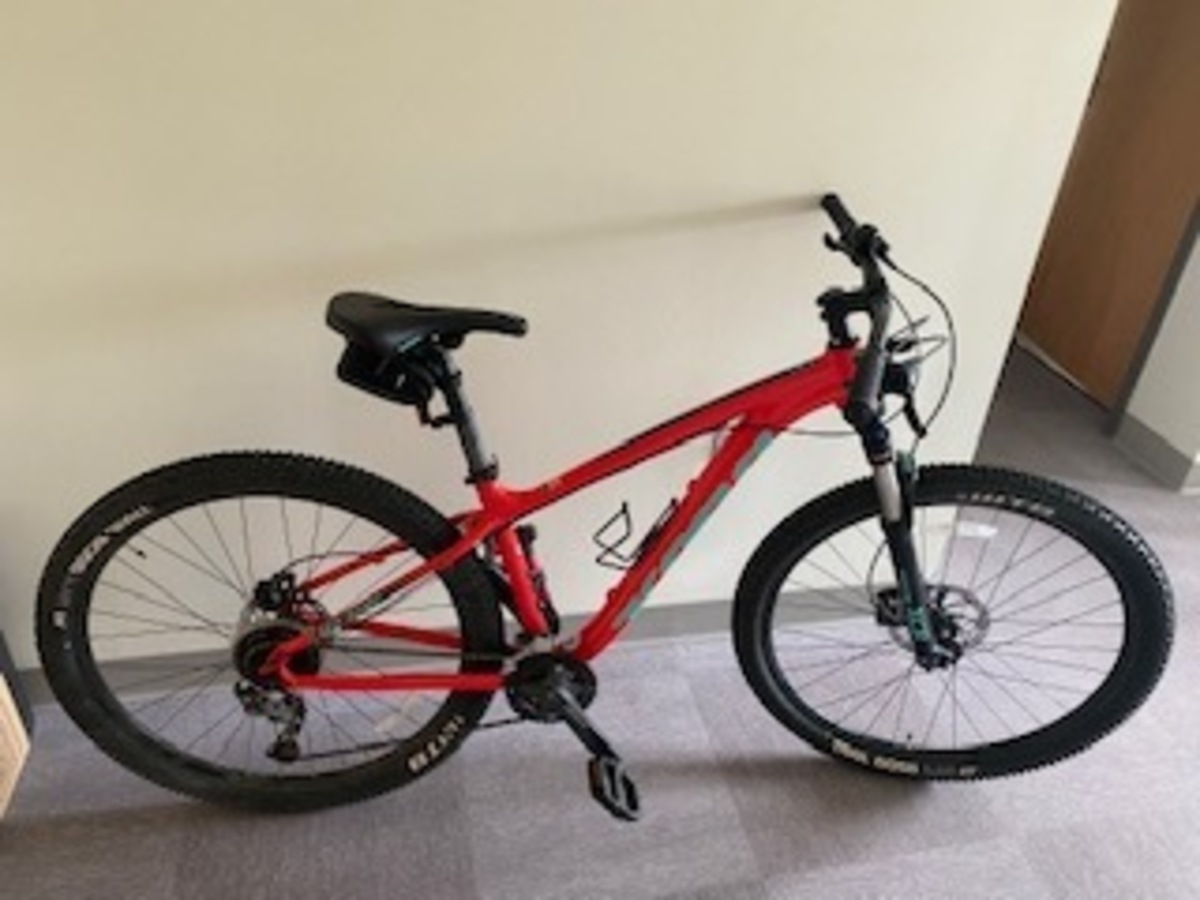 2019 Kona Lava Dome
