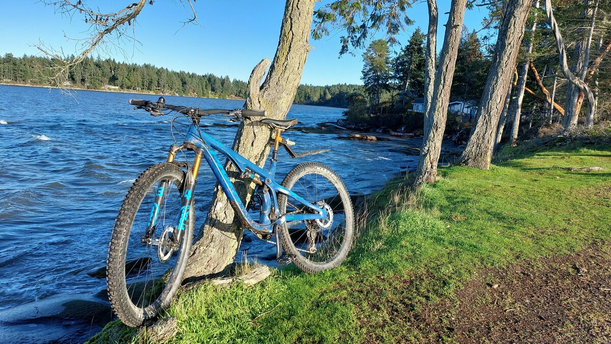2020 Pivot Trail 429