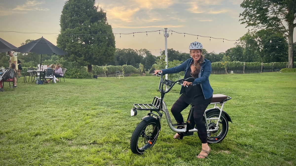 2022 Rad Power Bikes RadRunner Plus Electric Utility Bike