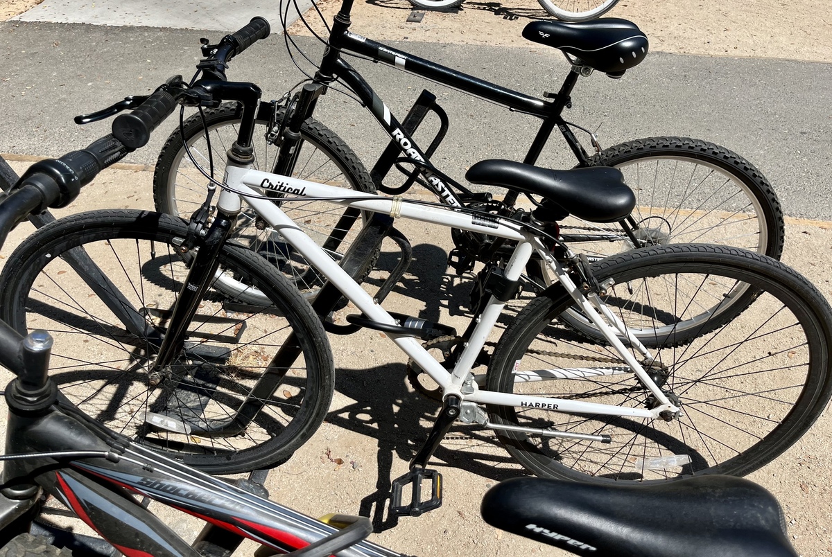 Critical Cycles Harper