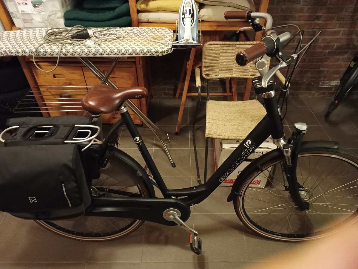 Batavus Dames