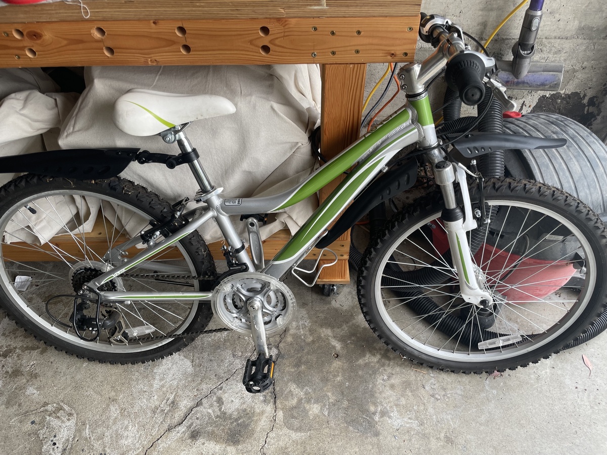 2022 Raven 24 in mountain bike