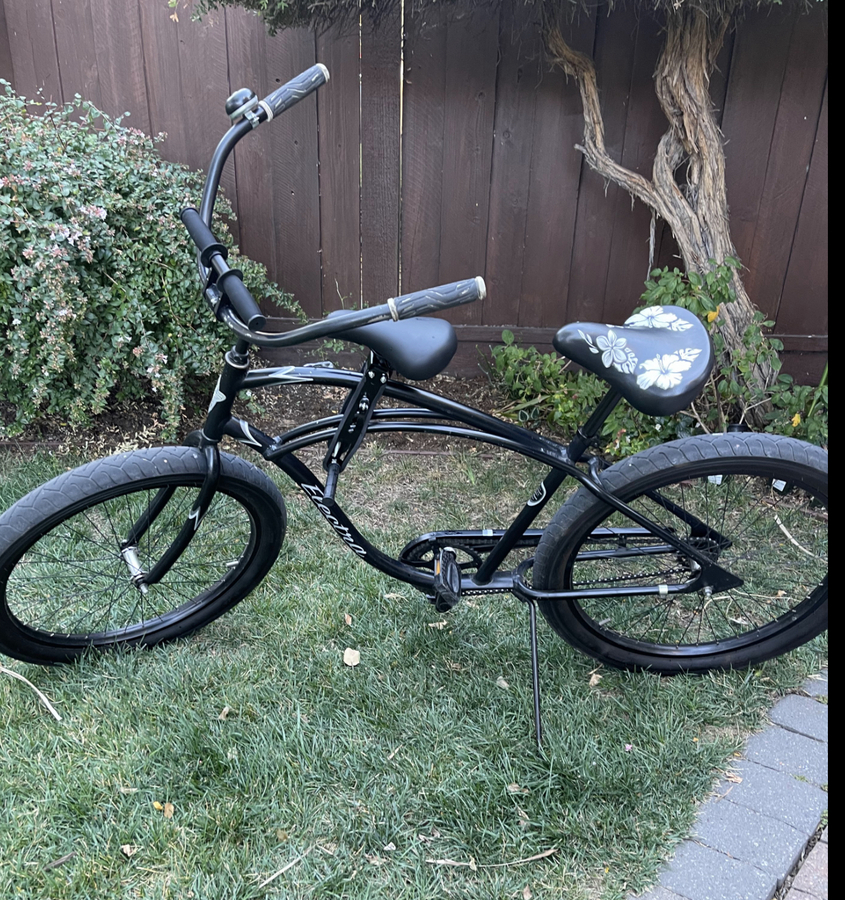 Stolen Electra Steel beach cruiser frame