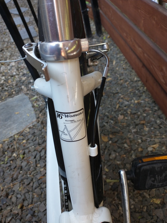 Raleigh Retroglide 7