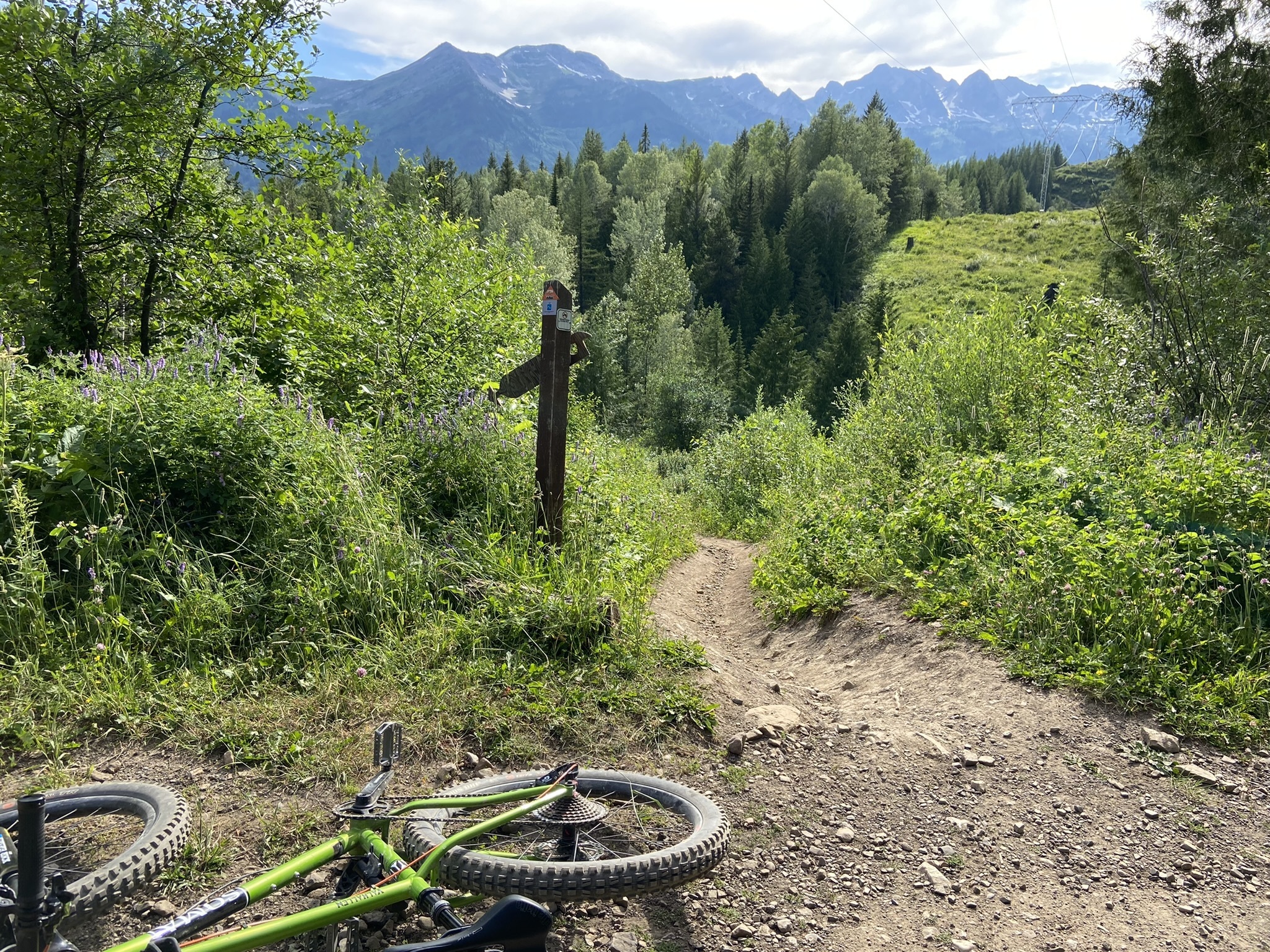 Stolen 2020 Soma Valhallen