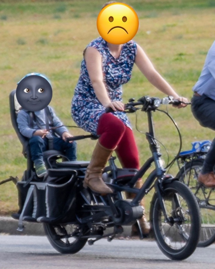 Stolen 2018 Tern GSD S10 L0 cargo bike (rear storage)