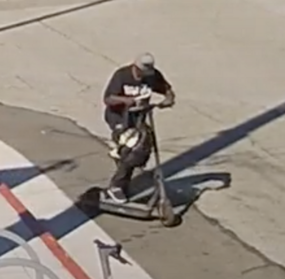 Stolen 2022 Segway Ninebot Ninebot KickScooter Max e-scooter