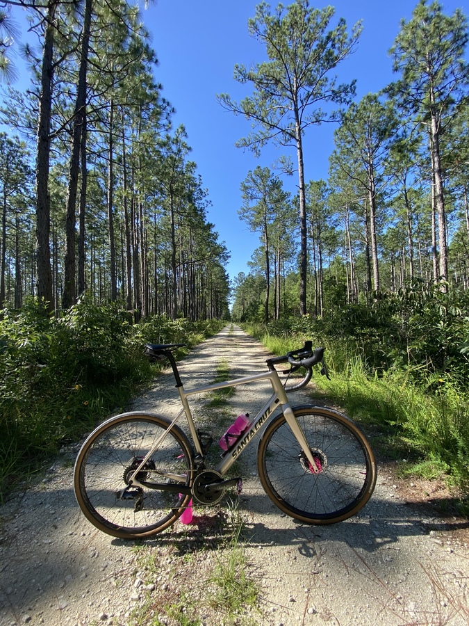 2022 Santa Cruz Stigmata