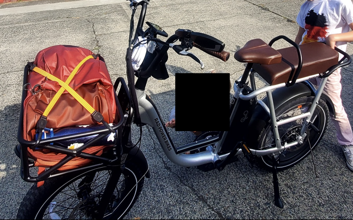 Stolen 2021 Rad Power Bikes RadRunner Plus