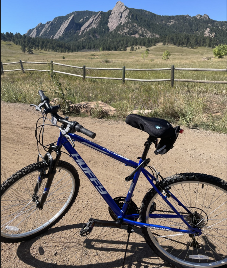 Huffy Hardtail Frame