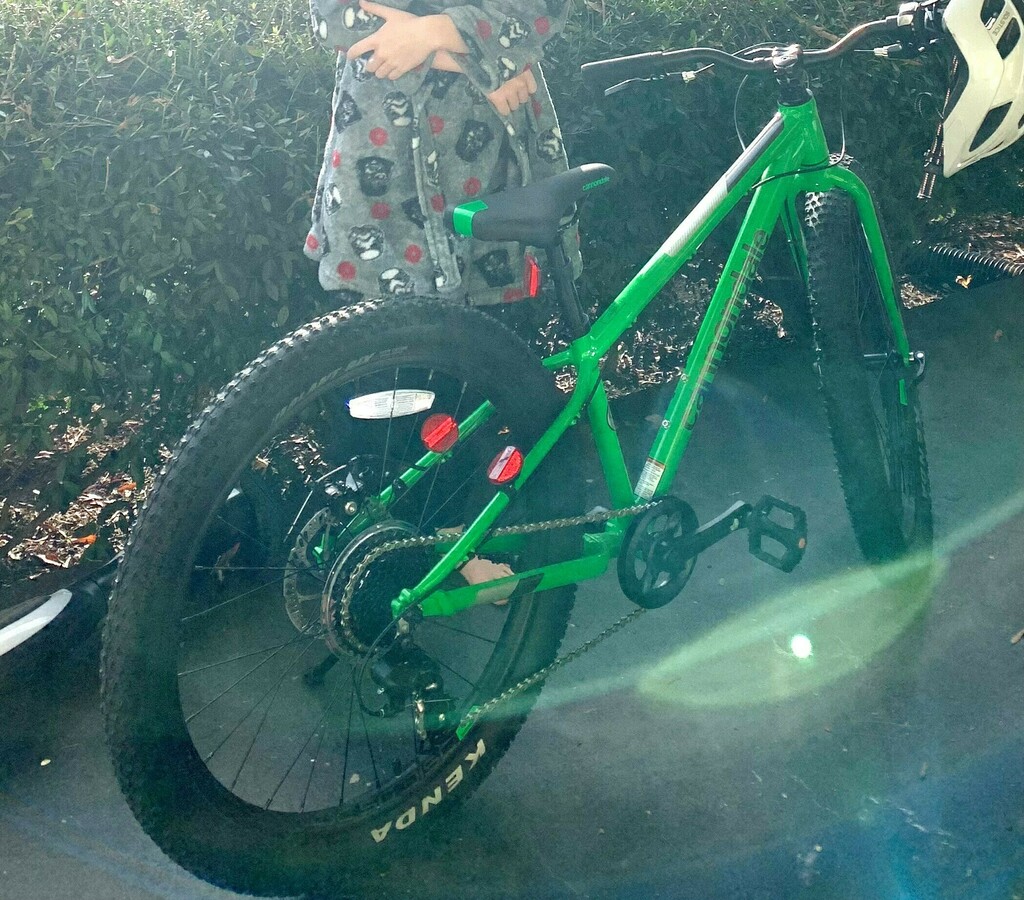 2021 Cannondale 24" + Cujo