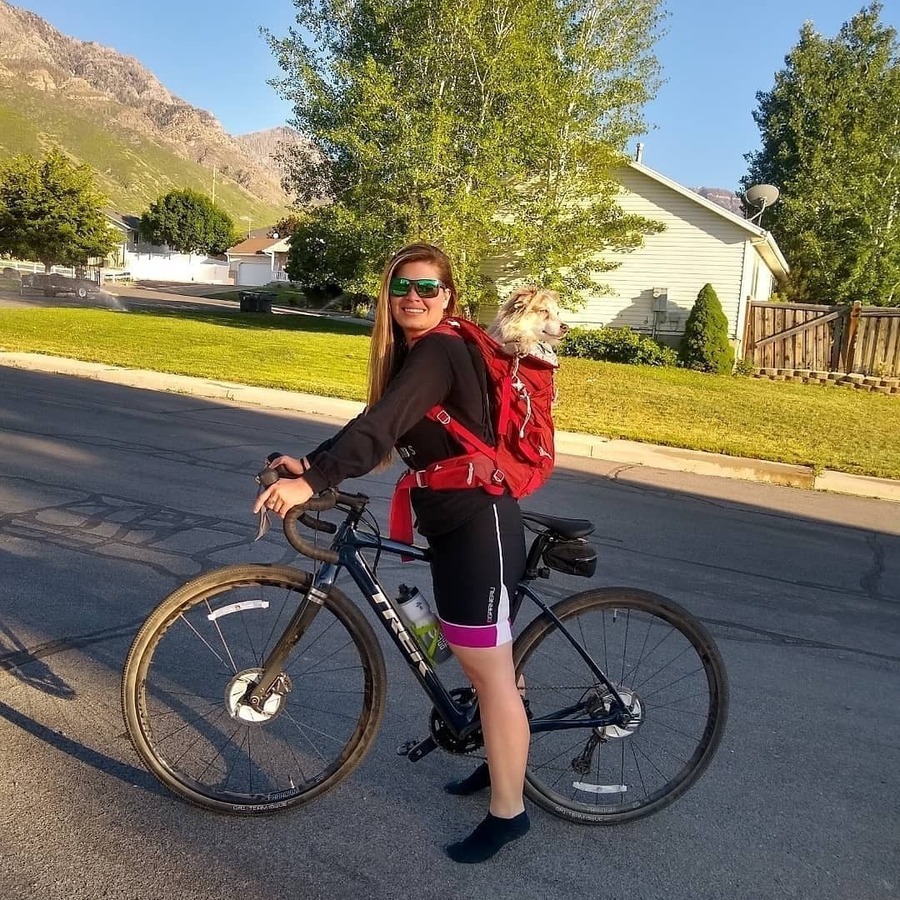 2020 Trek Checkpoint SL 6