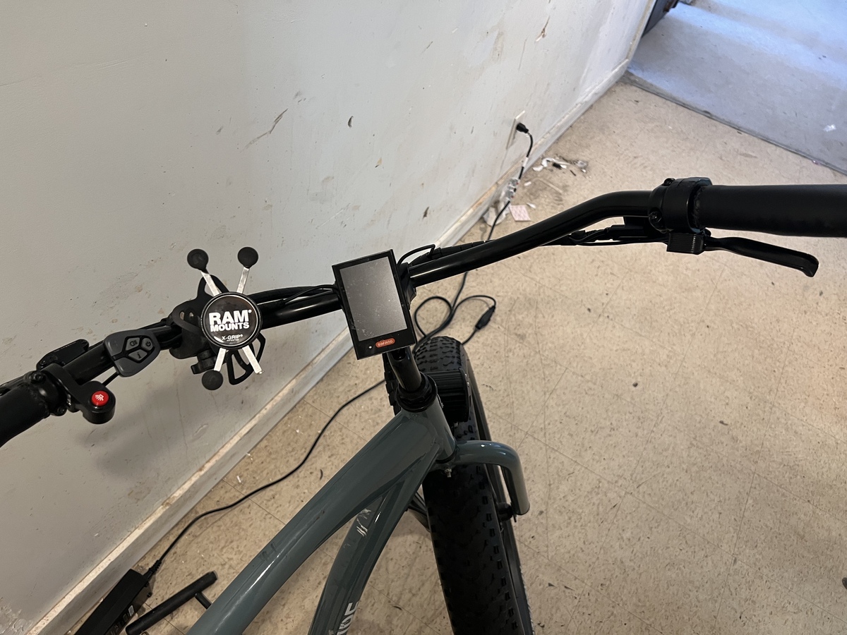 Alpha Murf Standard frame