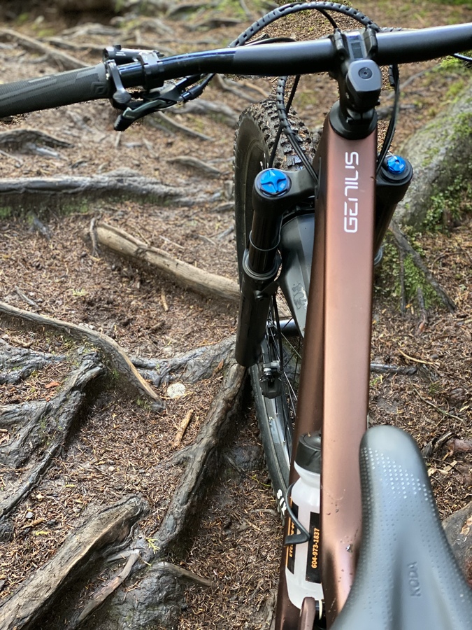 Stolen 2021 SCOTT Genius