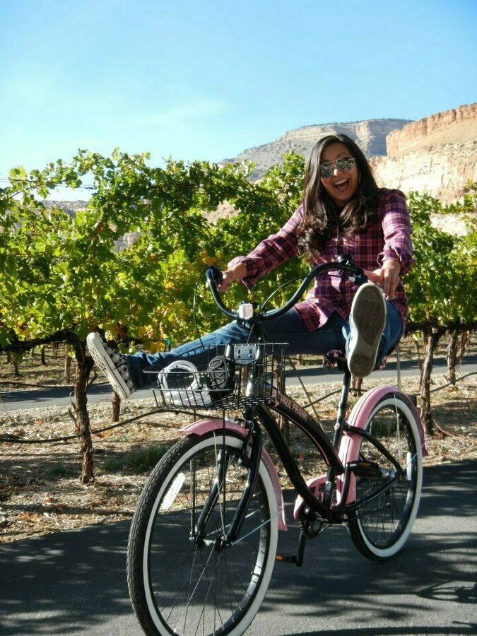 Stolen 2012 Nirve Paul Frank Skurvy Cruiser