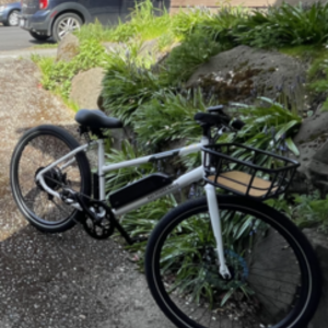 2022 Rad Power Bikes Mission