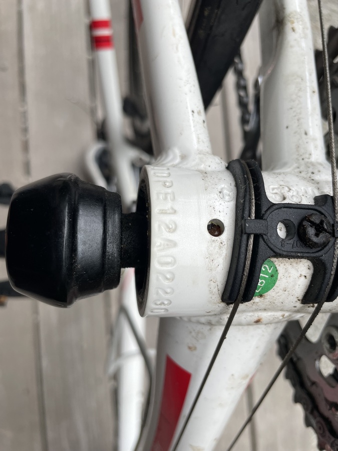 2010 Fuji Newest 1.0