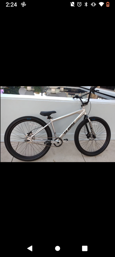 Stolen 2021 SE Bikes Pk ripper