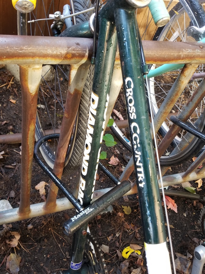 Diamondback Cross Country