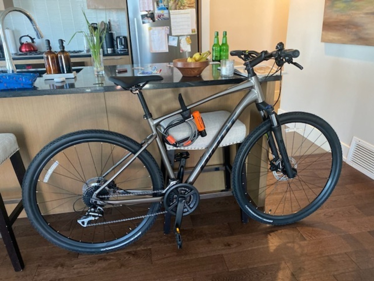 2022 Giant Roam Disc 3