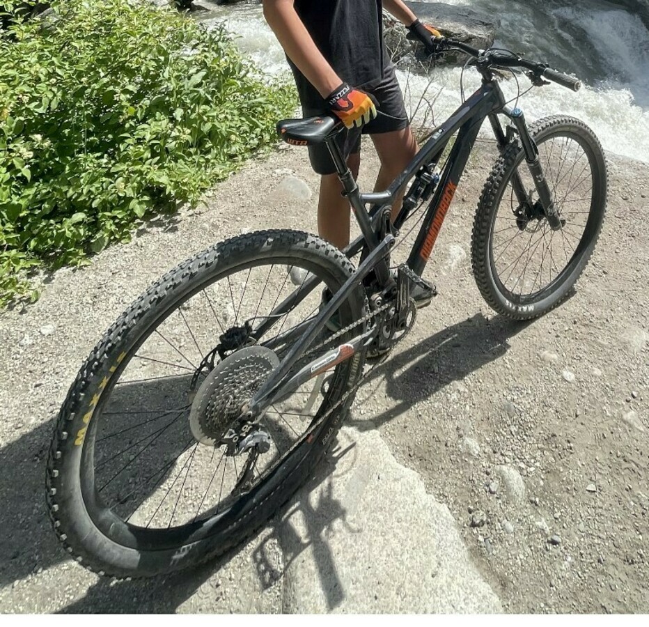 Stolen 2020 Diamondback Release 29 C