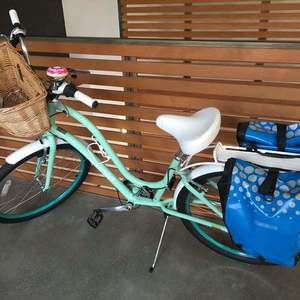 2017 Electra Townie 21D Ladies