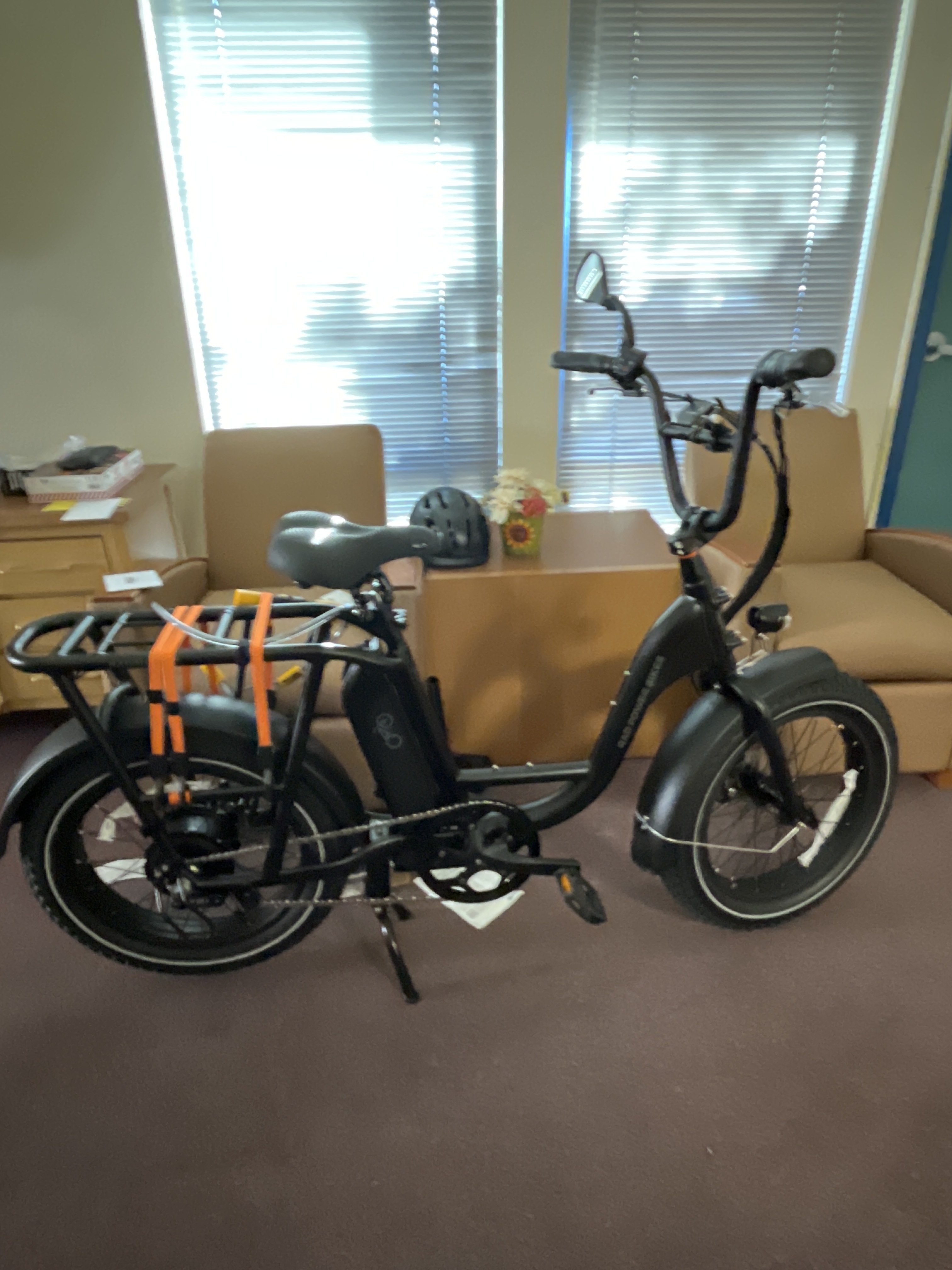 2021 Rad Power Bikes RadRunner 2