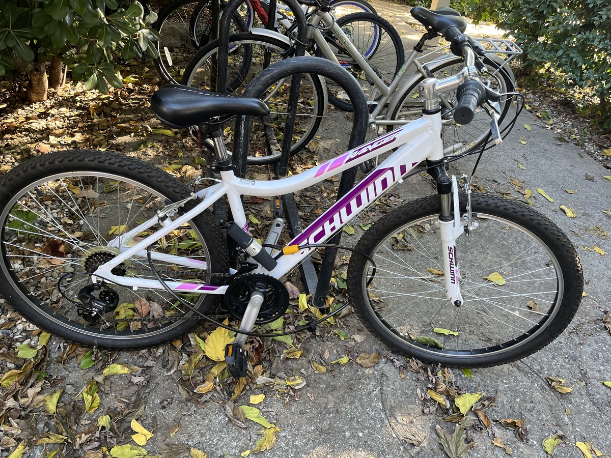 Schwinn Ranger