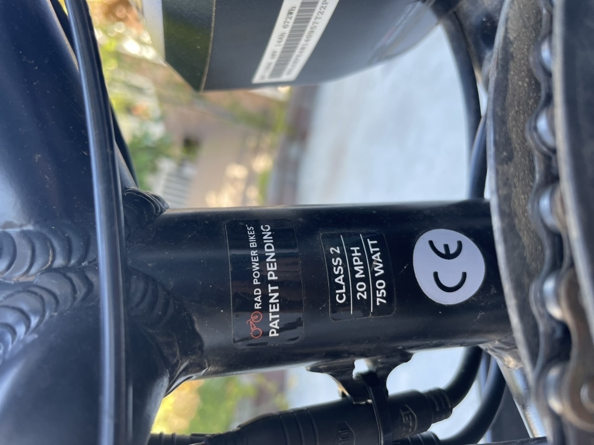 2022 Rad Power Bikes RadWagon 4 cargo bike rear