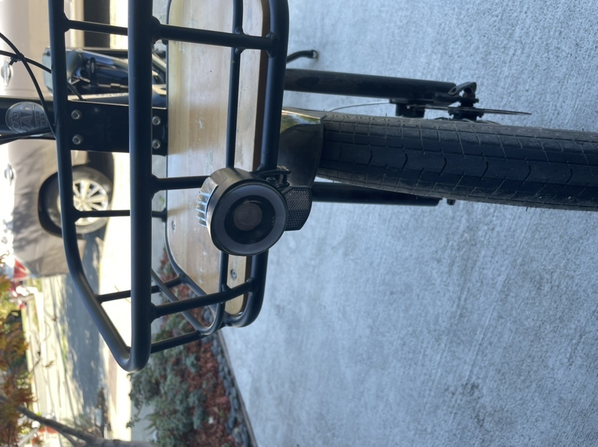 2022 Rad Power Bikes RadWagon 4 cargo bike rear