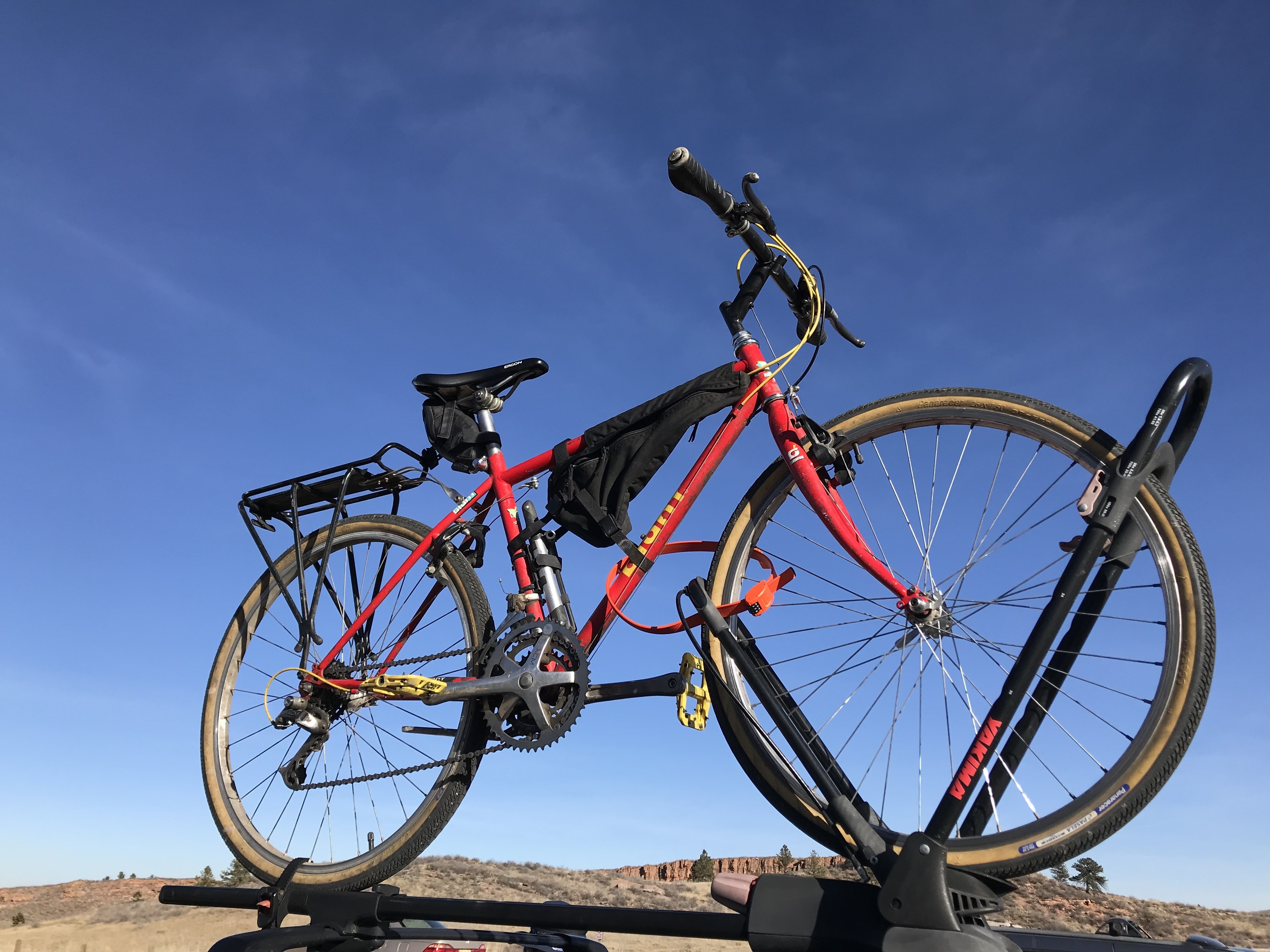 Stolen 1990 Giant Iguana