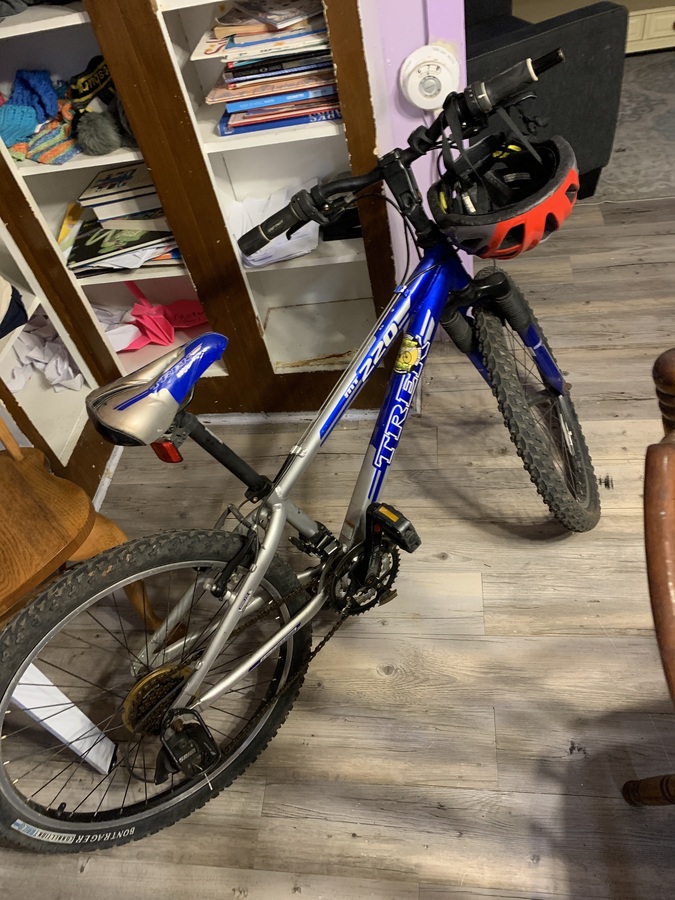 2020 Trek MT 220 Boy's