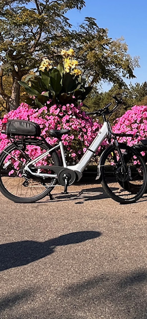 2022 iGo Electric Bikes Core Elite 3