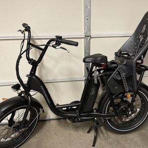 2022 Rad Power Bikes RadRunner 2 E Cargo