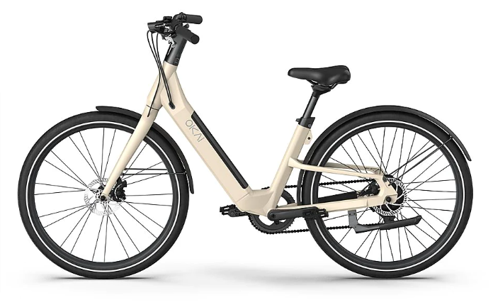 Stolen 2022 OKAI Strider