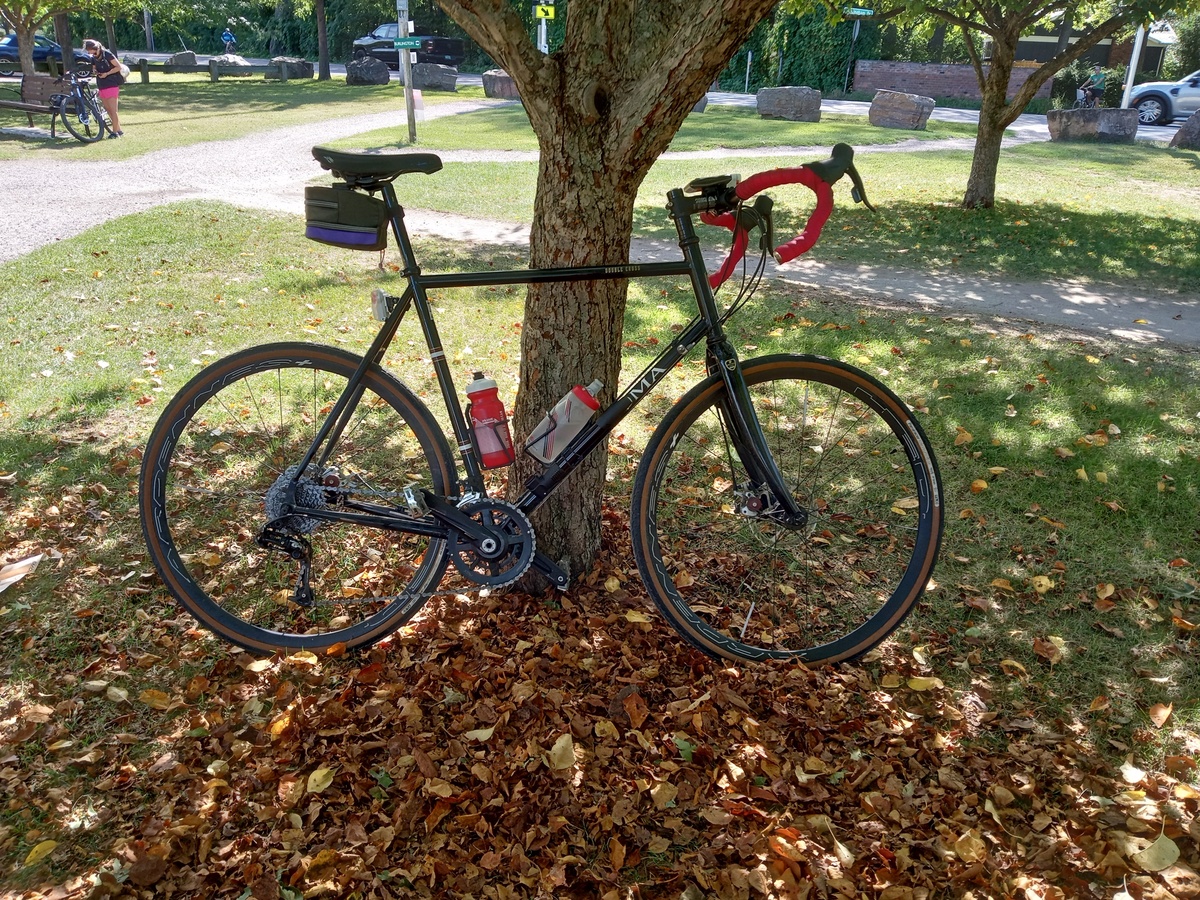 2017 Soma Double Cross Disc