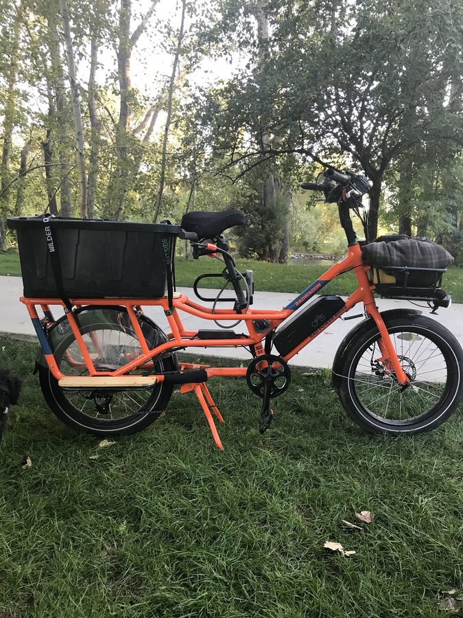 2021 Rad Power Bikes Rad wagon