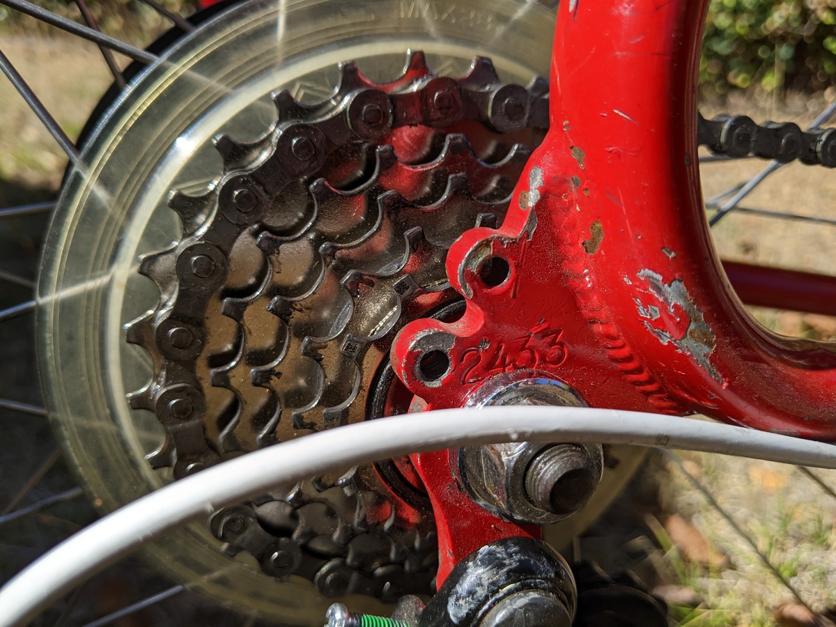 Burley Design Rock N Roll tandem