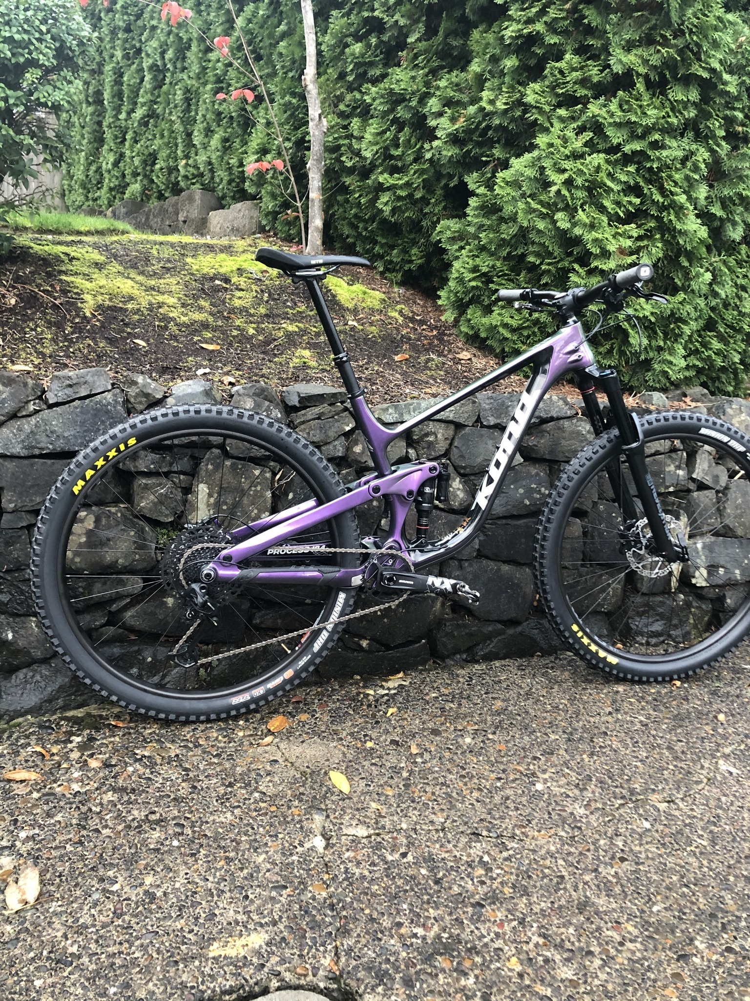 2021 Kona Process 134 Supreme