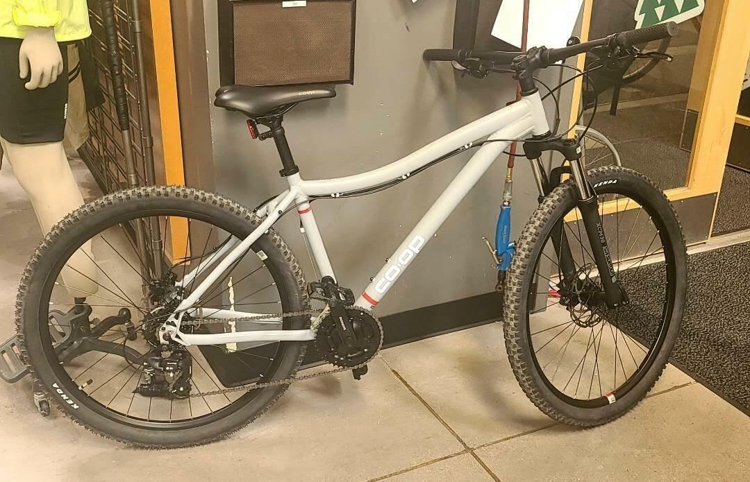 2022 REI DRT 1.1 Bike